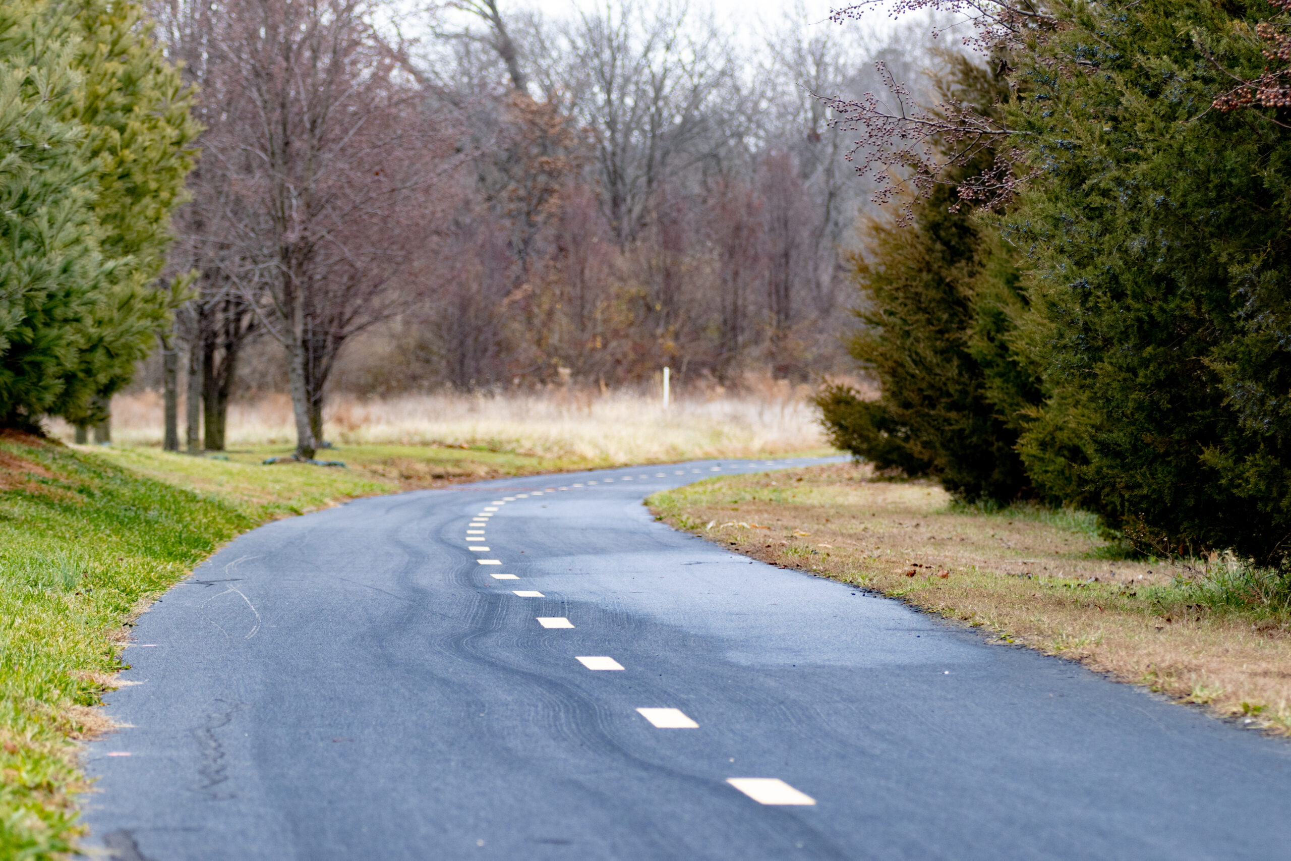 REQUEST FOR BIDS: MetroBikeLink - Shiloh/Scott Realignment - St. Clair ...